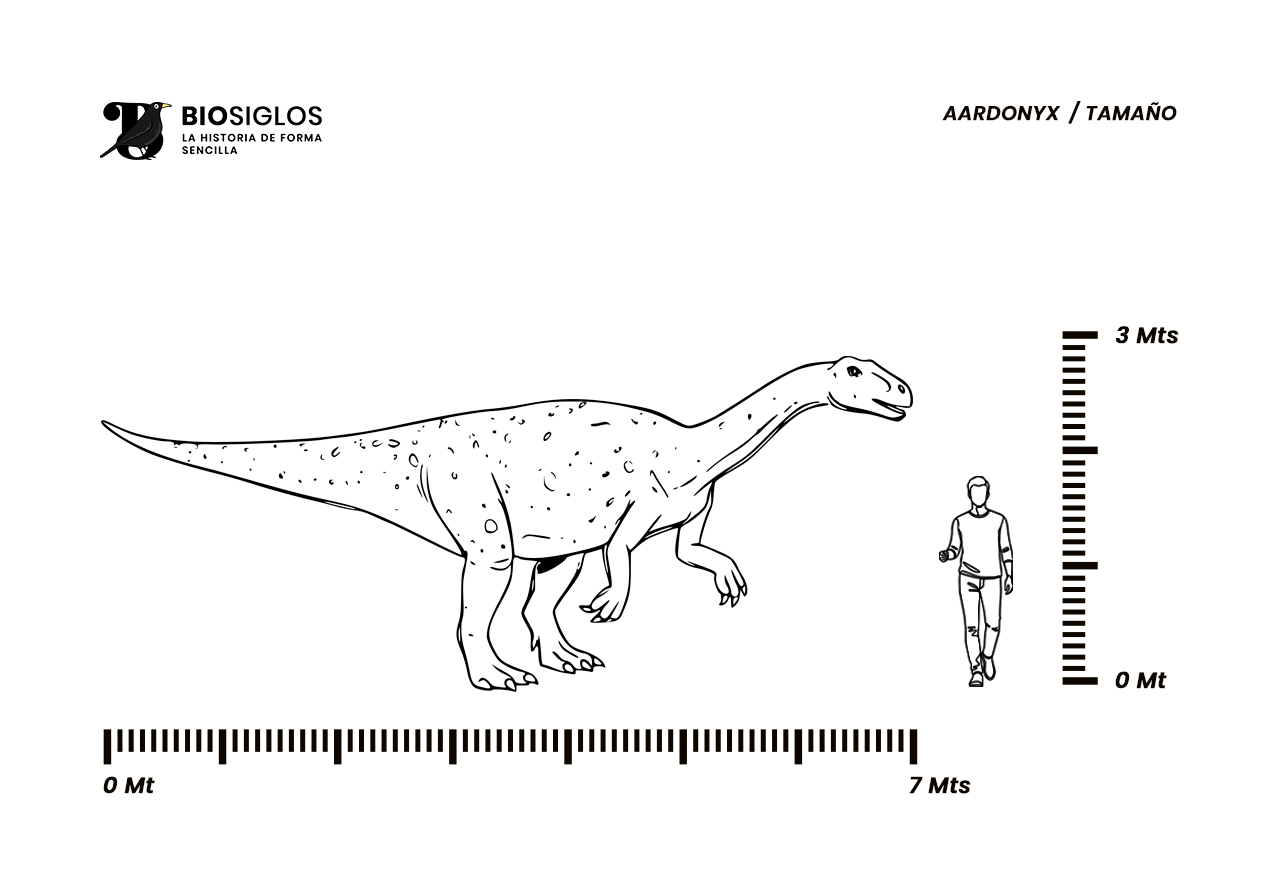 Aardonyx – Info básica, características y hábitat – Biosiglos