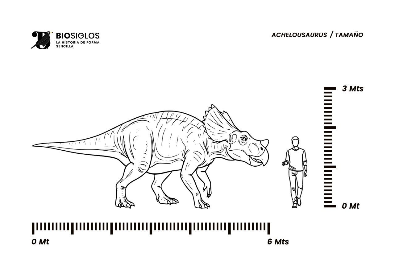 Achelousaurus – Biosiglos
