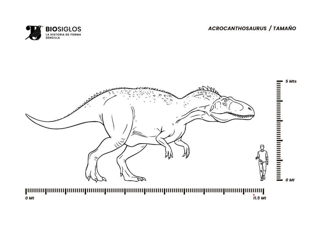 Acrocanthosaurus – Biosiglos
