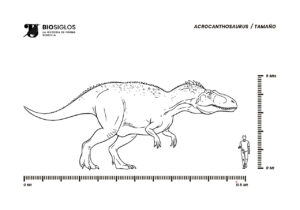 Acrocanthosaurus – Biosiglos