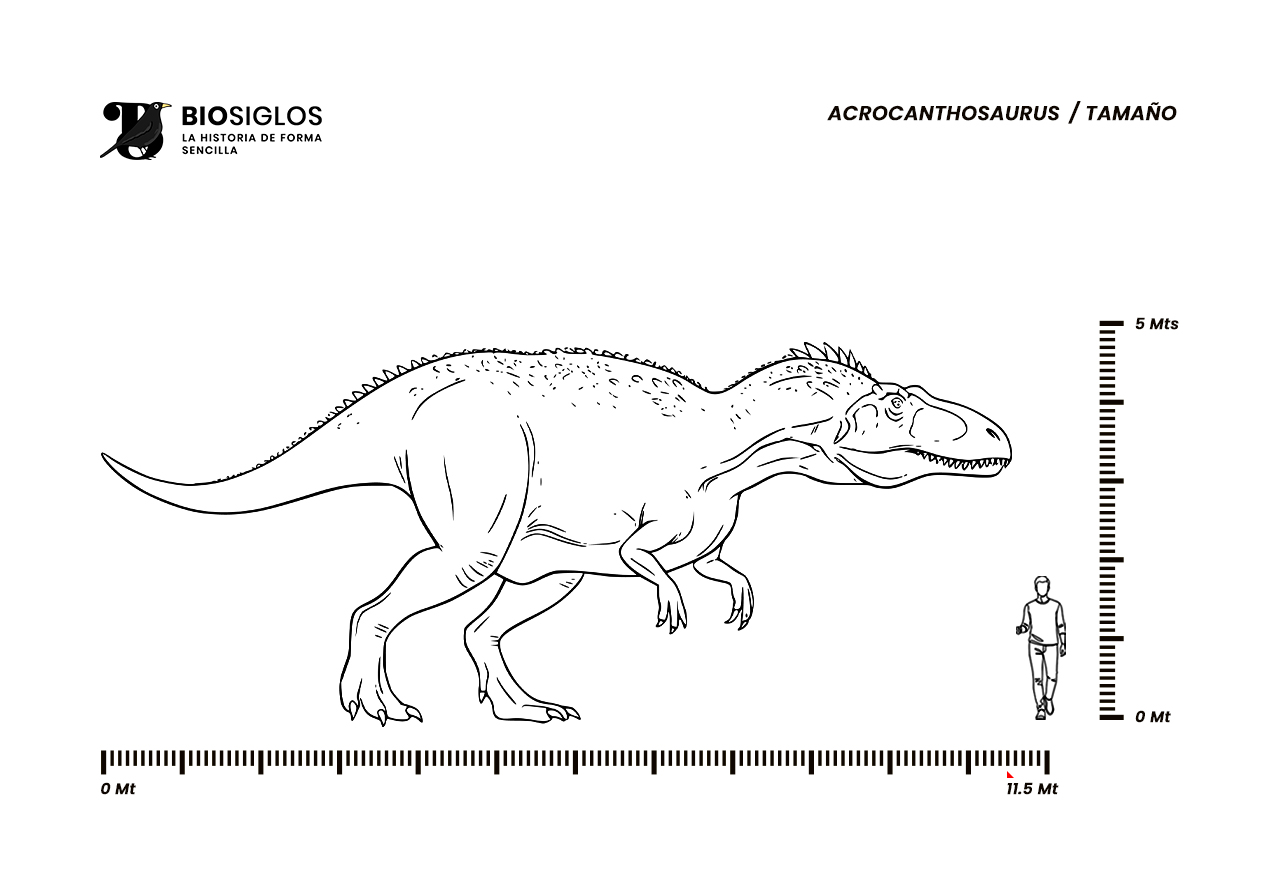 Acrocanthosaurus – Biosiglos