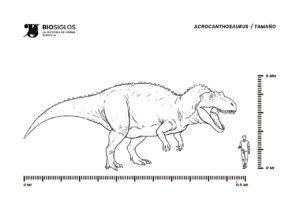 Acrocanthosaurus – Info básica, características y hábitat – Biosiglos