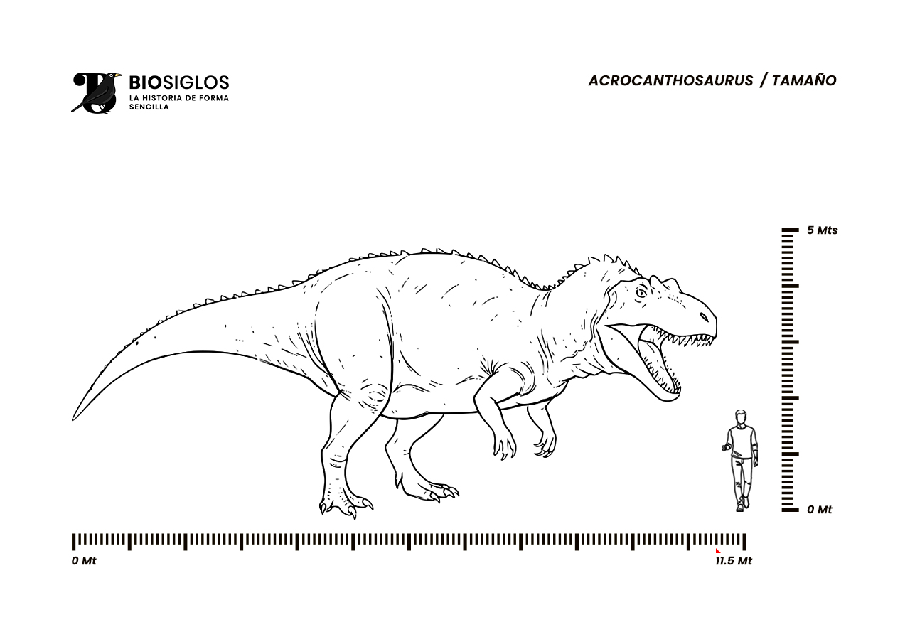 Acrocanthosaurus – Info básica, características y hábitat – Biosiglos