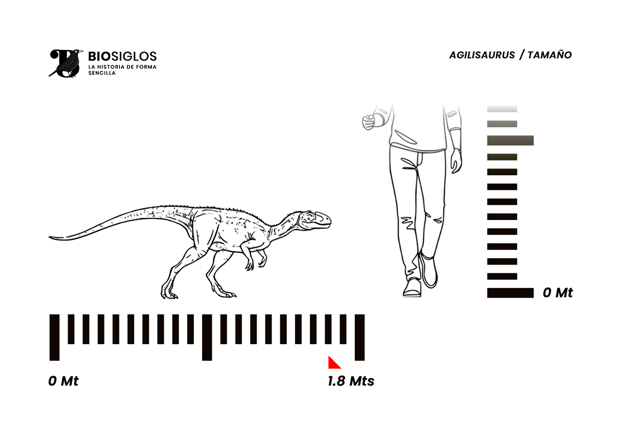 Agilisaurus – Biosiglos