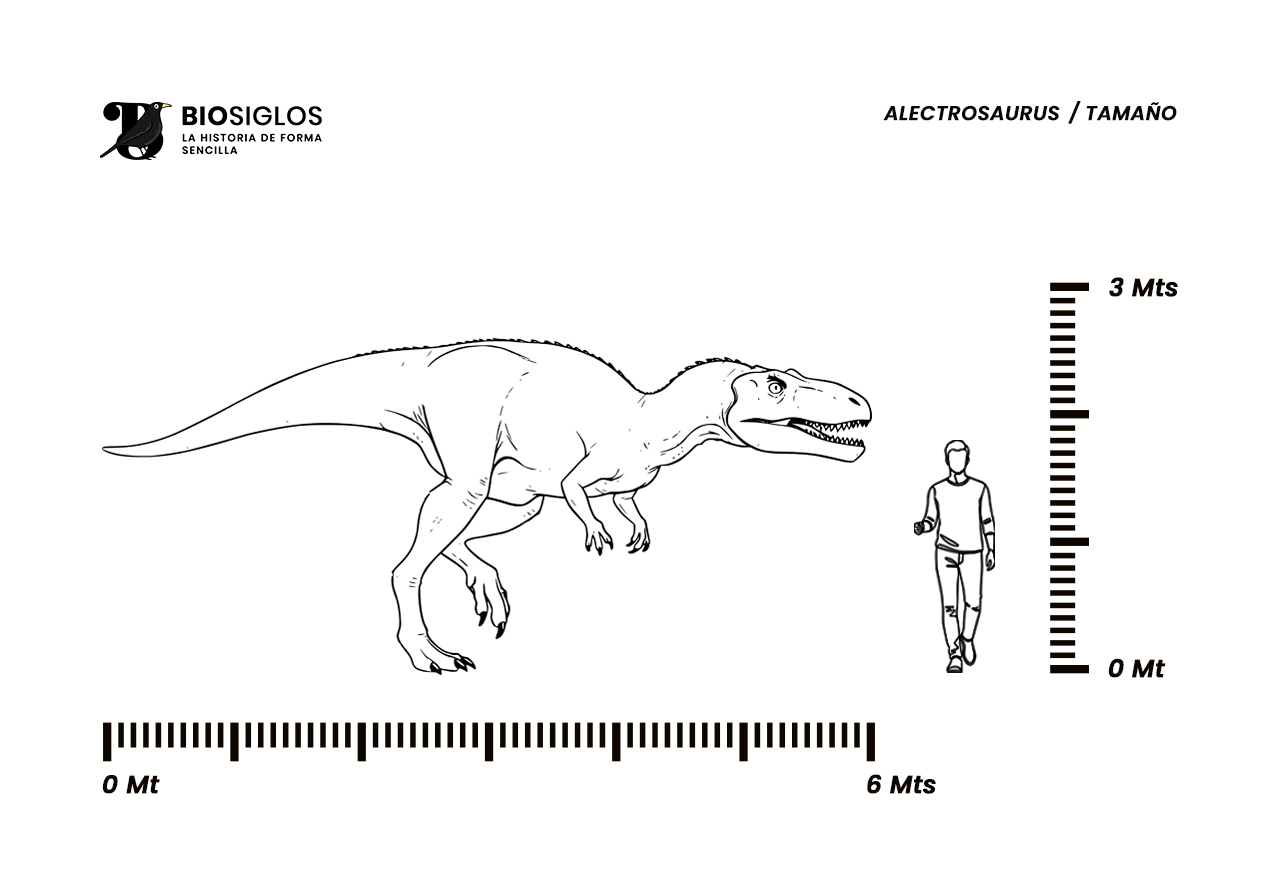 Alectrosaurus – Info básica, características y hábitat – Biosiglos
