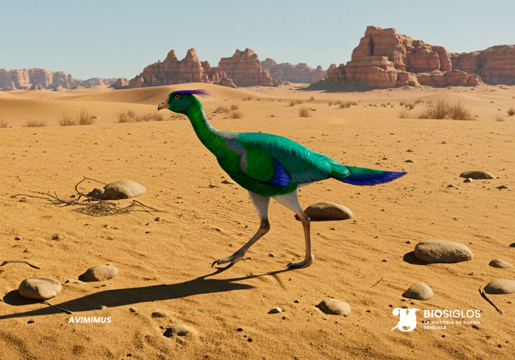 Avimimus – Biosiglos