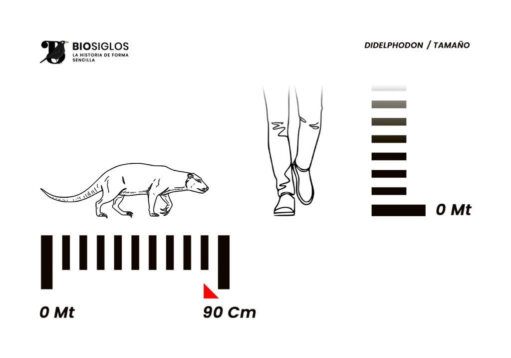 Didelphodon – Biosiglos