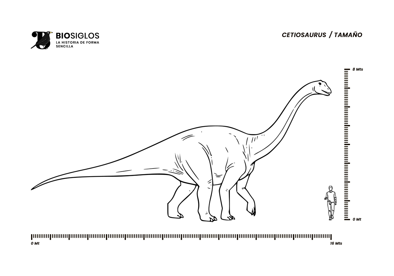 Cetiosaurus – Biosiglos